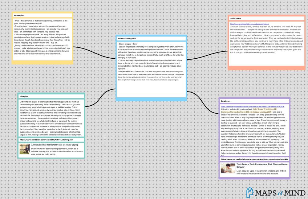 MapsOfMind | Self Assessment