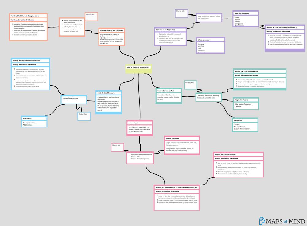 MapsOfMind | The kidney's role in homeostasis Final