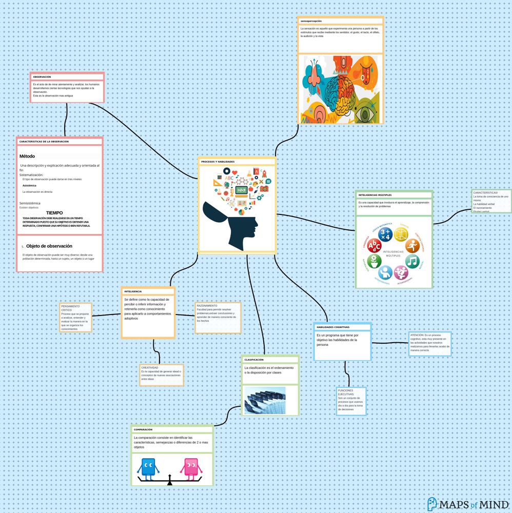 MapsOfMind | BLOQUE II (PROCESOS Y HABILIDADES)