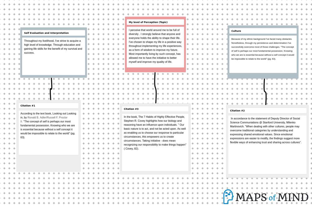 MapsOfMind | Self Assessment