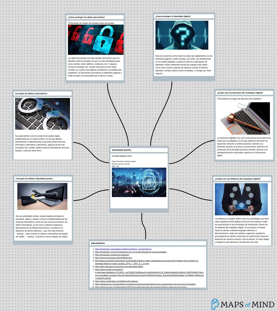 MapsOfMind | Seguridad Digital