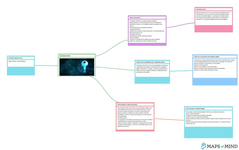 MapsOfMind | Seguridad Digital