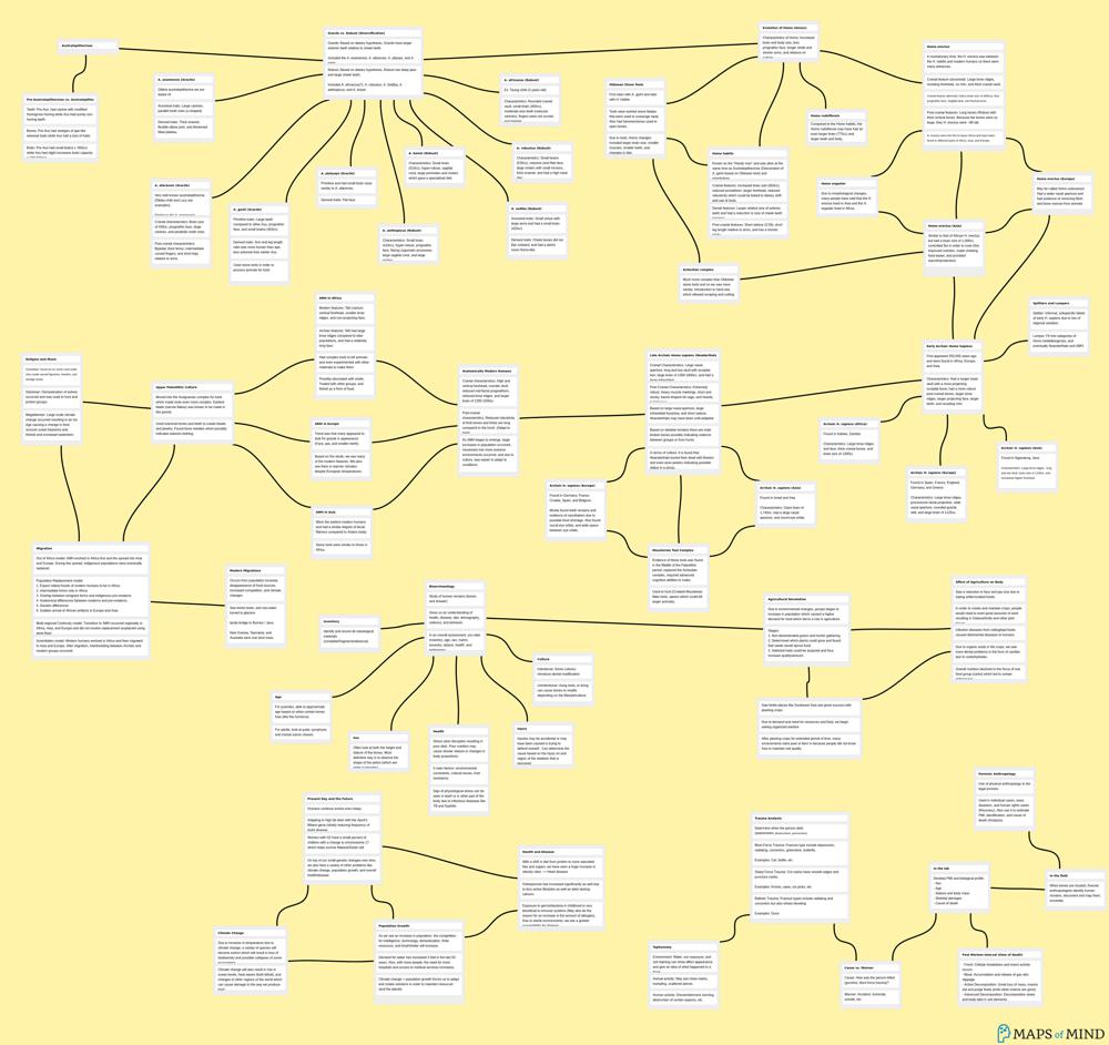 MapsOfMind | Visual Study Guide (Final)