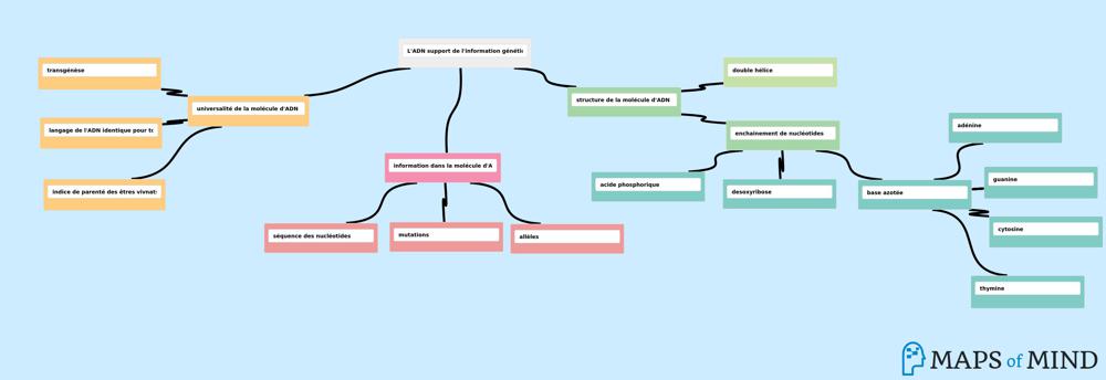 MapsOfMind | l'ADN