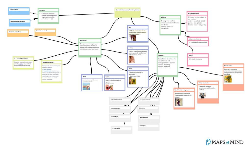 MapsOfMind | Procesos de sensación, percepción, atención y memoria